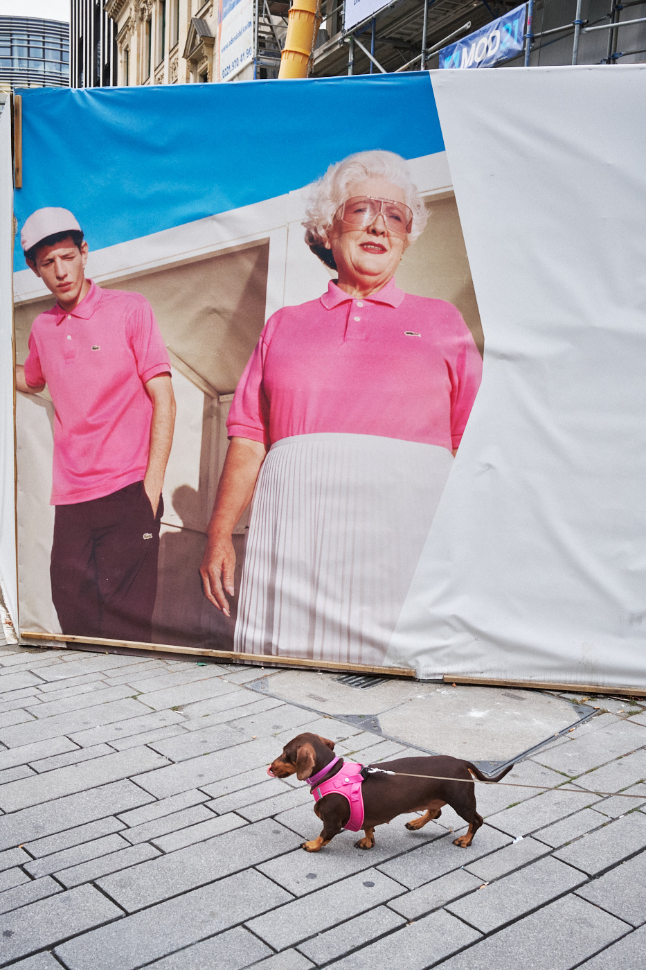 Bruno Trematore - Photography — News